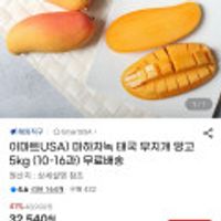 마하차녹 태국 무지개망고 5kg (10-16과)
