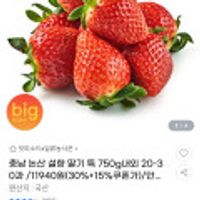 충남 논산 설향딸기 특 750g 20-30과