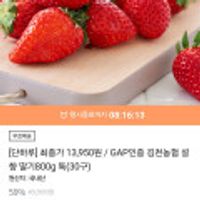 GAP인증 김천농협 설향 딸기800g 특(30구)