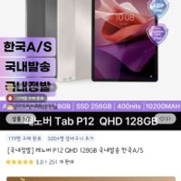 레노버 P12 QHD(12.7) 국내정발 22만원