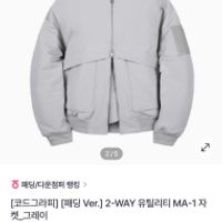 2-WAY MA-1점퍼 2만원(그레이색만)