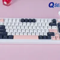 QSENN Q75 PBT 풀윤활 가스켓 유무선 기계식 키보드 사전 구매 무료배송 혜택